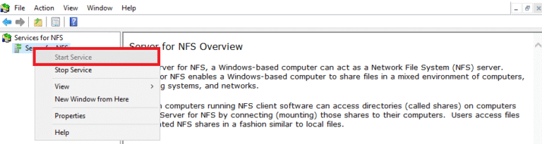 NFS Setup Guide on Windows Server 2025 for File Sharing